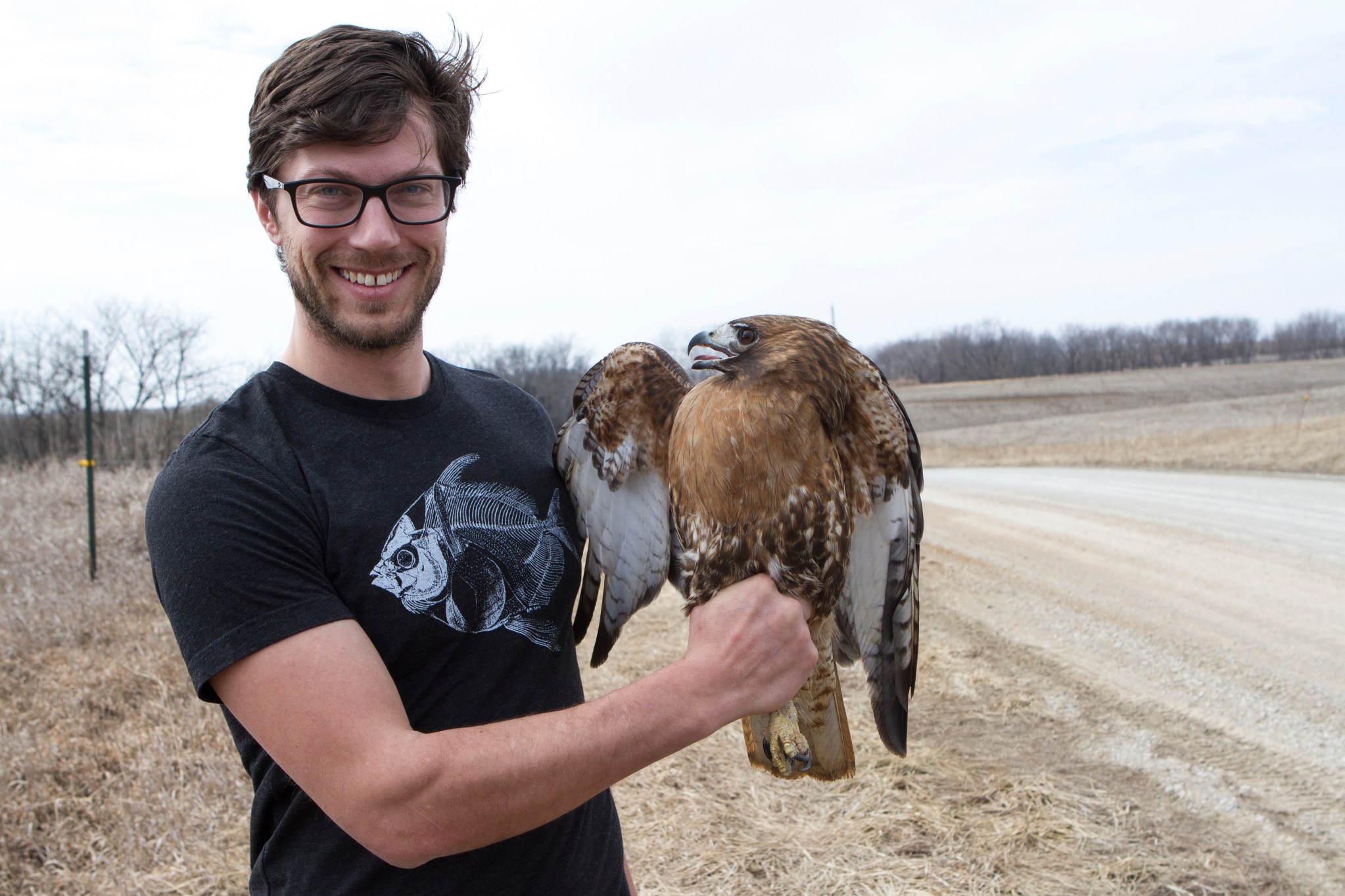 Red-tailed Hawk Project