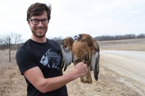 Red-tailed Hawk Project
