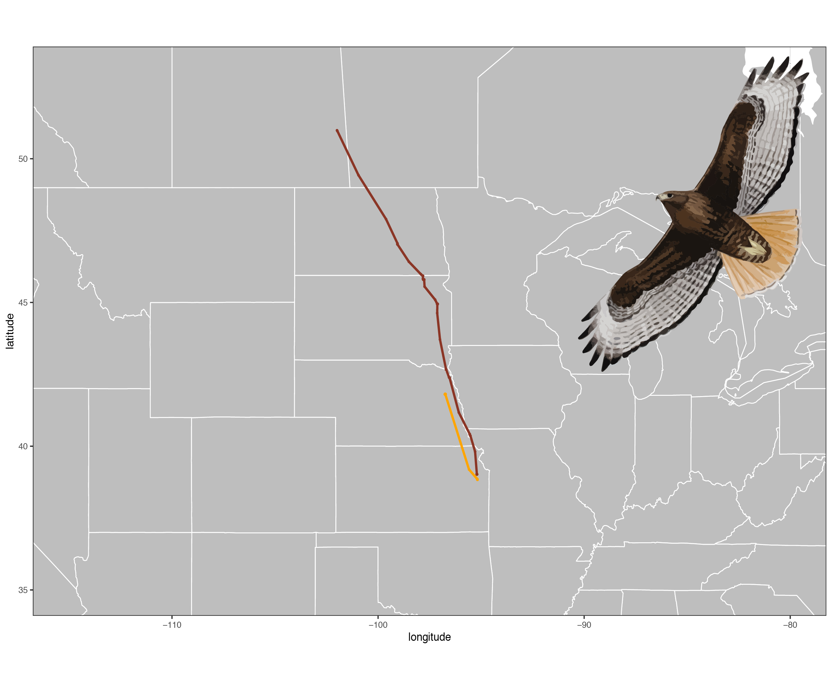 Research – Red-tailed Hawk Project