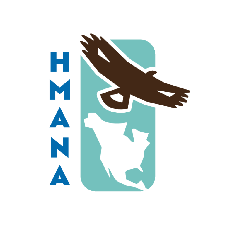 Red-tailed Hawk Project