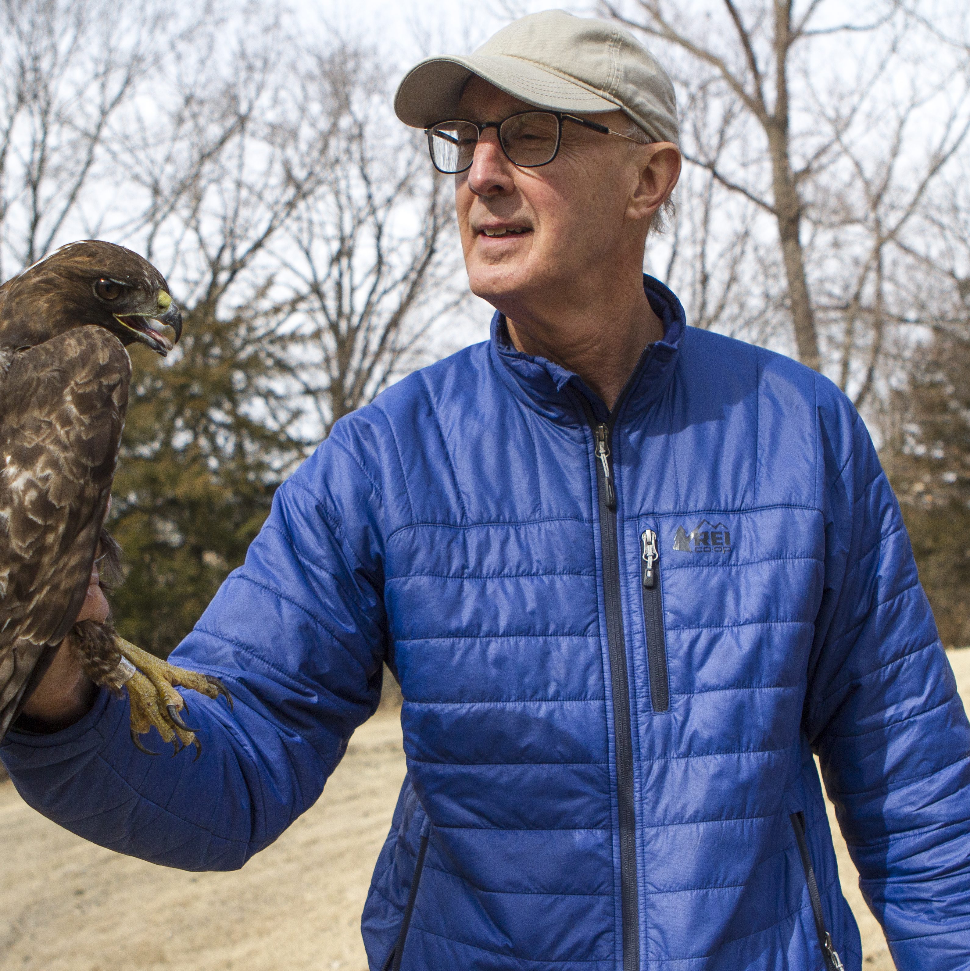 Meet the Researchers – Red-tailed Hawk Project