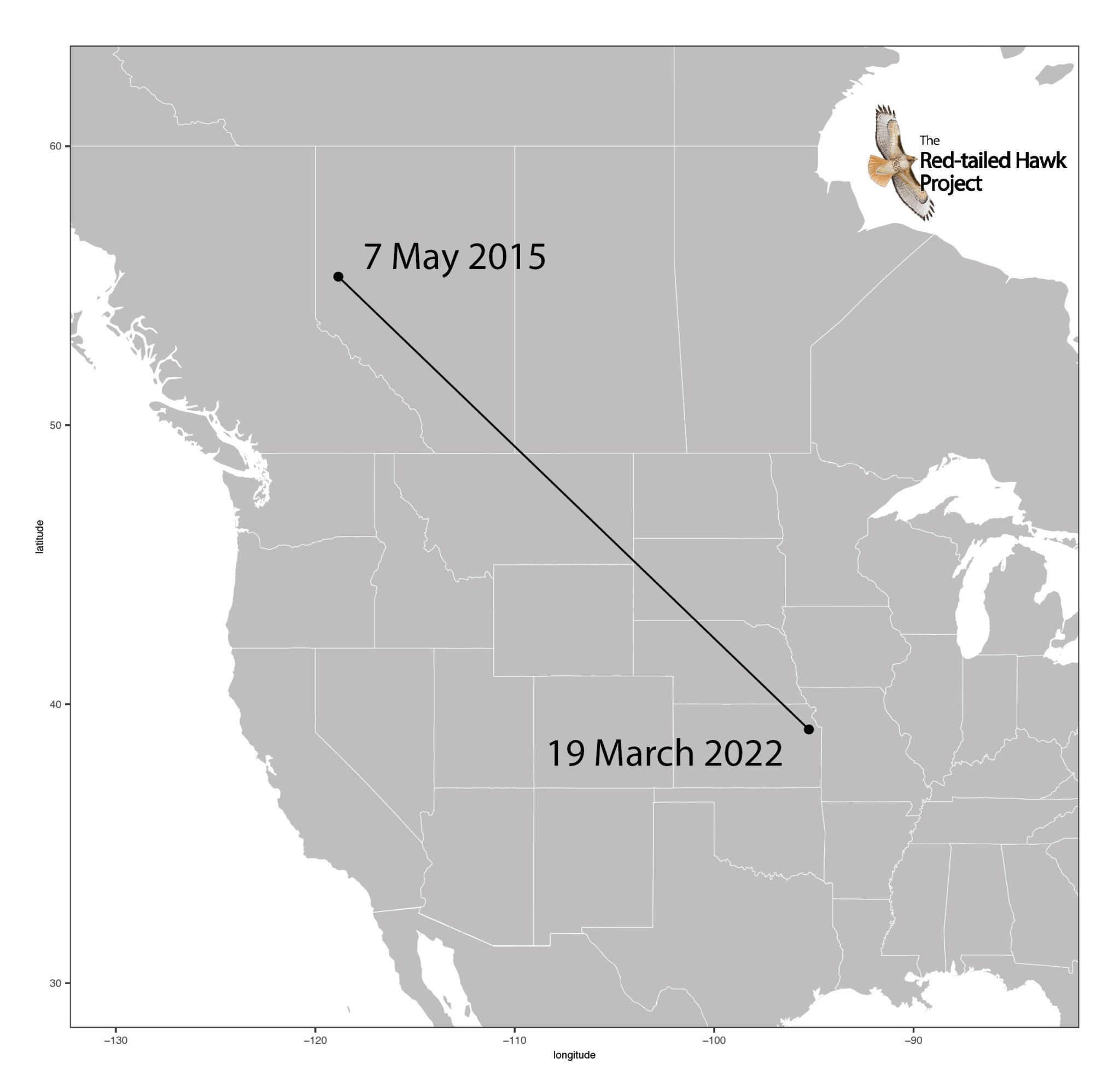 Blog – Red-tailed Hawk Project